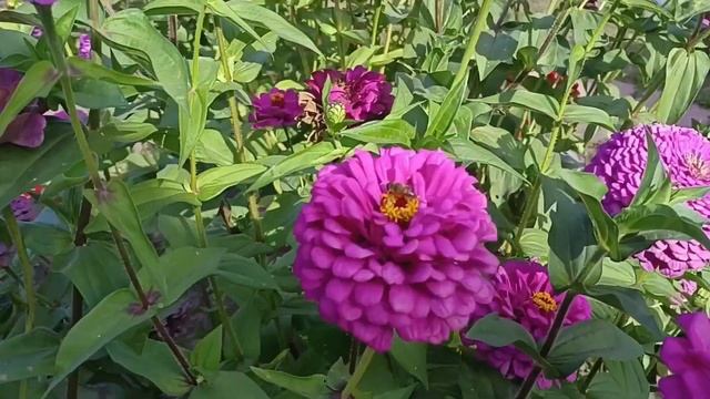 Вот и лето прошло....