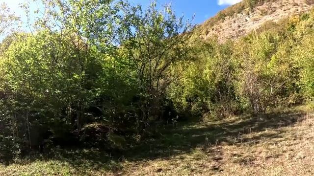 Покорение вершины Большое Псеушко. Водопады Наджиго. 2023.10.14