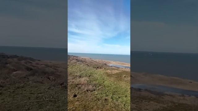 Азовское море. Темрюкский р-н, п. Приазовский. #краснодарскийкрай #азовскоеморе #Приазовский #shorts