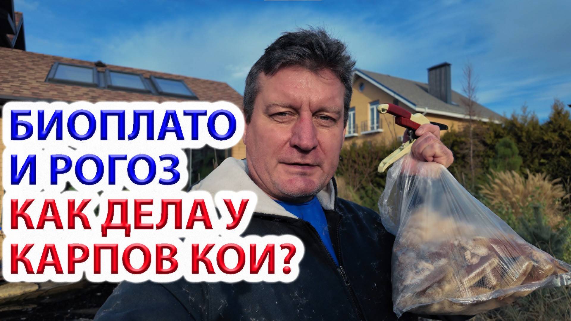 Биоплато и рогоз - стоит ли выращивать? Спасаем карпов КОИ день 2.