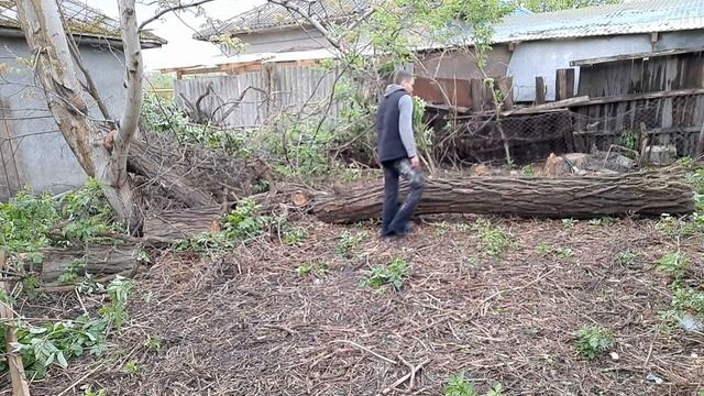 Как самостоятельно переместить  дерево в тонну, круглая беседка, часть первая!