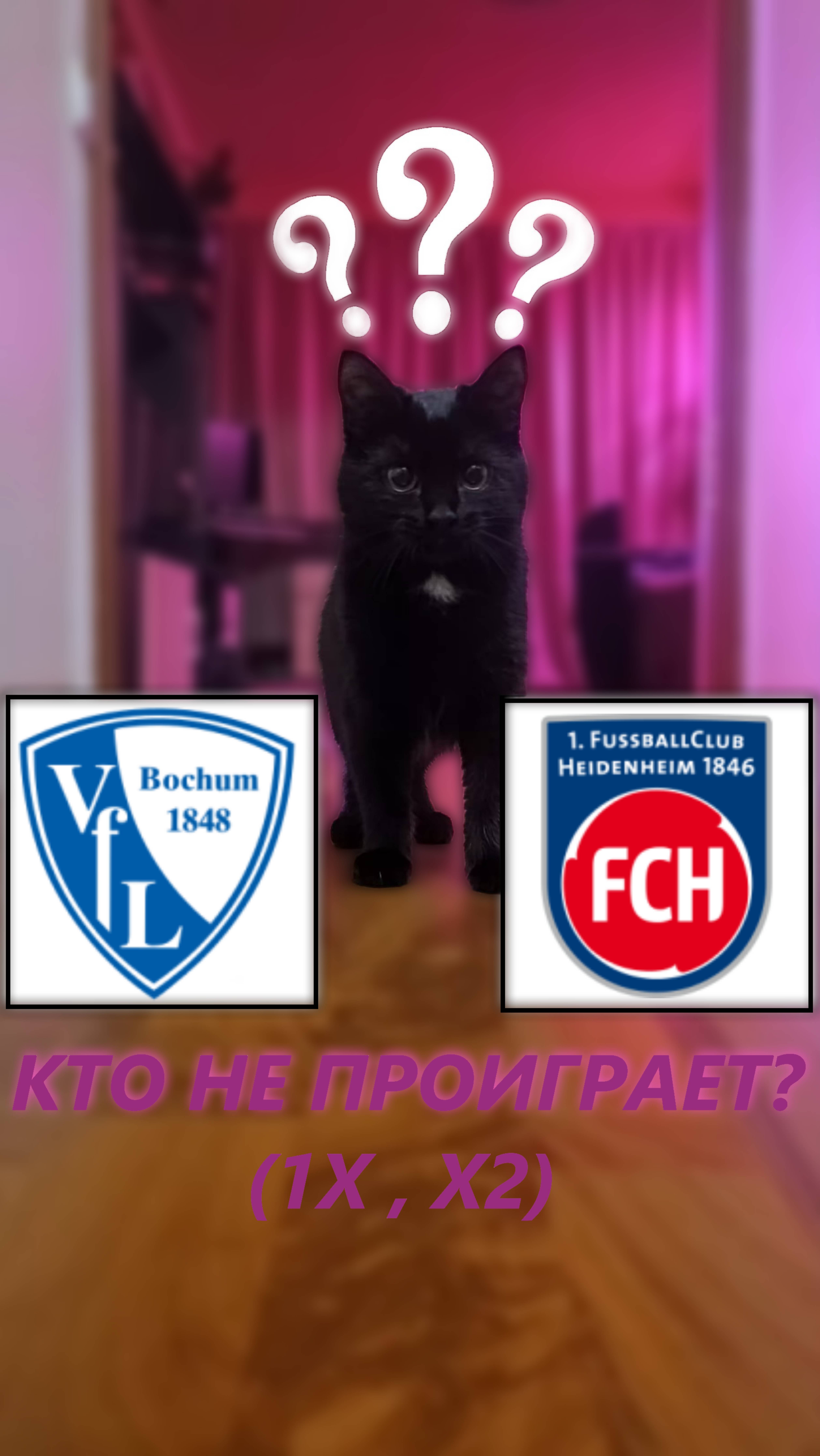 Прогноз на 17 тур Серии А Бохум - Хайденхайм