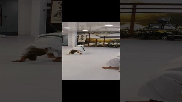 Страховка верхняя. АЙКИДО