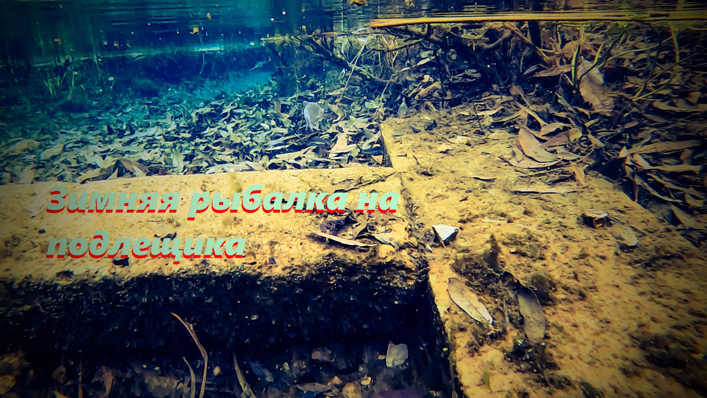 Зимняя рыбалка на подлещика