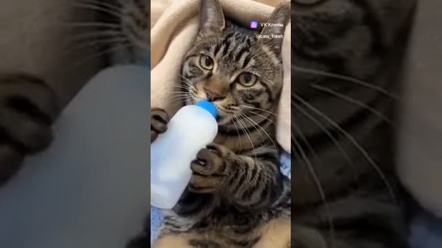 21 .12. 2024г. Улыбнись)