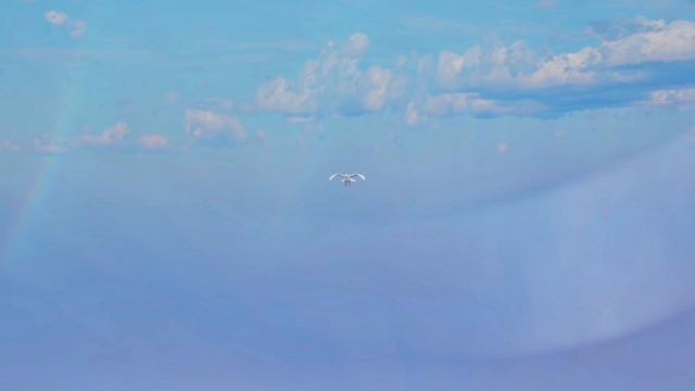 Роман Голубев - Нация ЖГИ! [Official Video]