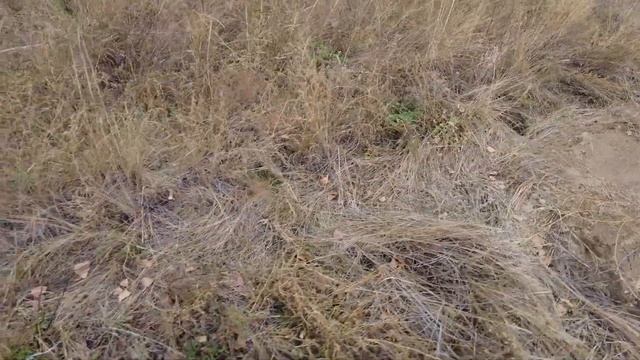 Одиночный поход в горы. Деревня Быстрая, за Минусинском