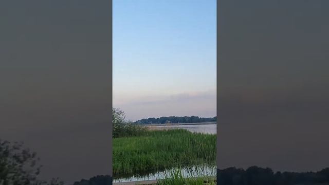 Тренинг Метатрансформация #shorts #тело #медитация #осознанность #здоровье