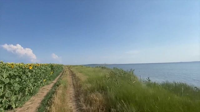 Краснодарский край. Июнь, #лето2023