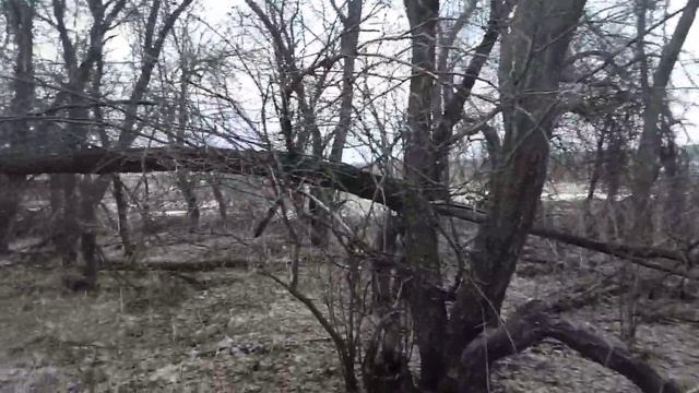 Старый заброшенный сад. И коротко о прошлом...