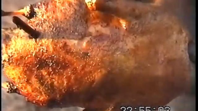 Утка на вертеле