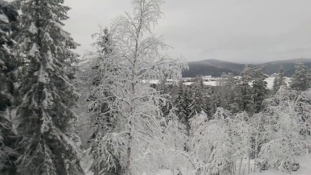 В гости в Поселение Родовых поместий Кедры Синегорья январь 2019