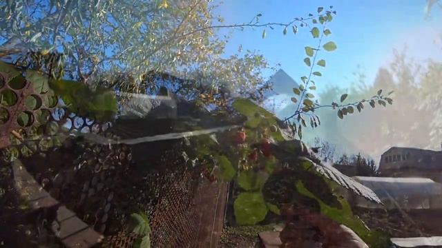 Закрытие дачного сезона 2023 года.