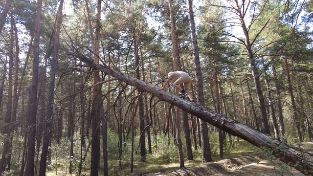 Сняли рикшу напрокат. Сосновый бор Минусинск.