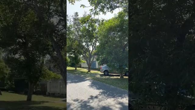 Краснодарский край, Темрюкский р-н, посёлок Ильич, ул. Школьная. #поселокильич #азовскоеморе #shorts