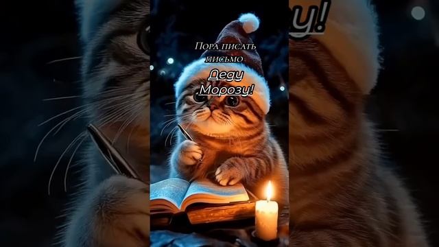 письмо Деду Морозу💝