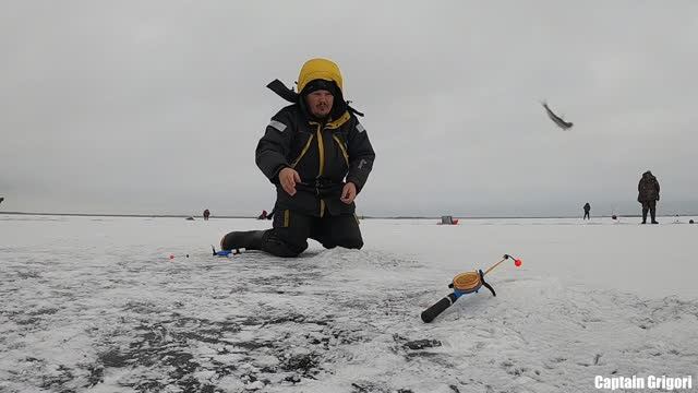 корюшка на финском заливе , северная дамба 250 штук , зимняя рыбалка , удачная рыбалка