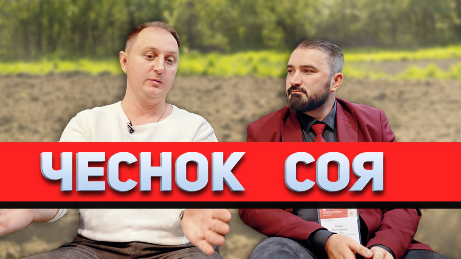 Как бороться с сорняком на чесноке