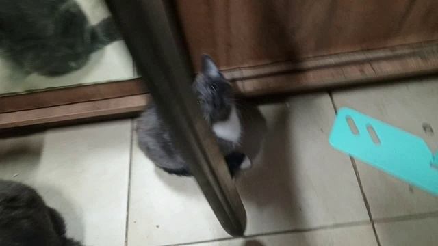 Рождение меча!