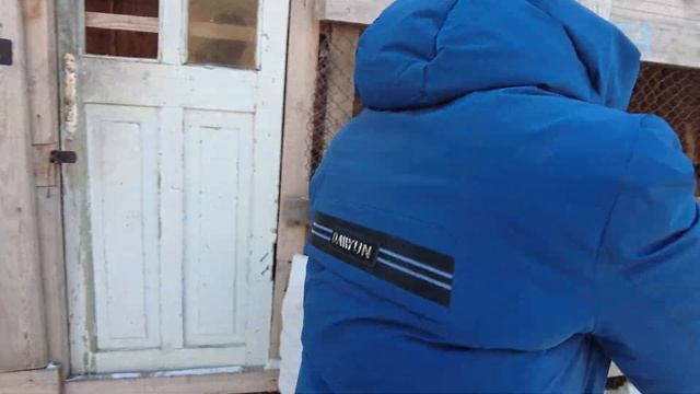 Приют для собак в Минусинске. Кормим собачек