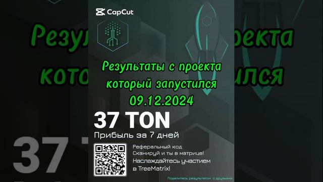 Дневник TREEMATRIX, день 5