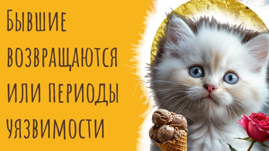 Бывшие возвращаются или периоды уязвимости