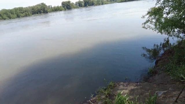 Прогулка вдоль восточной дамбы. Река Абакан