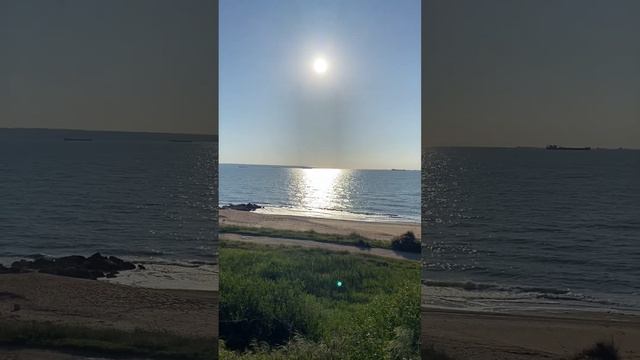 Краснодарский край, посёлок Ильич. Центральный пляж. 11.05.2023. Побережье Азовского моря. #shorts