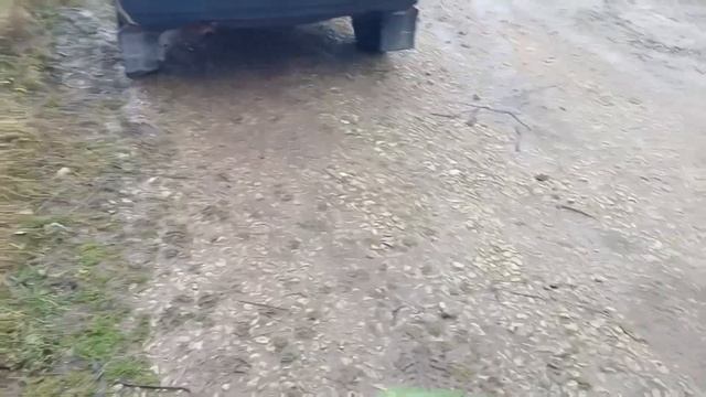 Влог 11.11.2023г. Новый мангал и поездка на дачу. Кормлю собак.