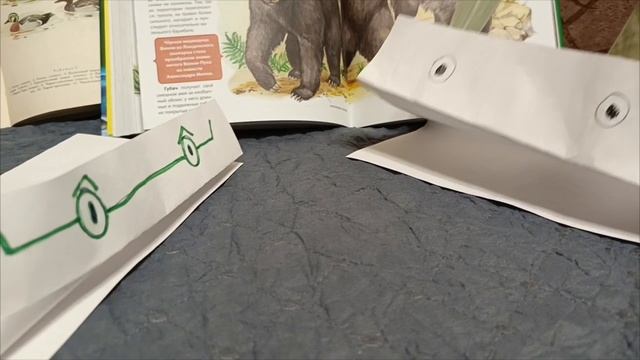 Настоящий охотник (15 серия). Мишани