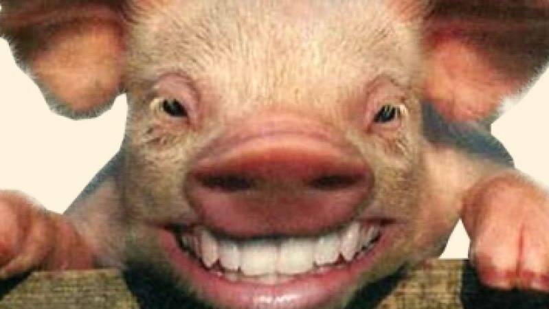 Такого мошенника я еще не слышал