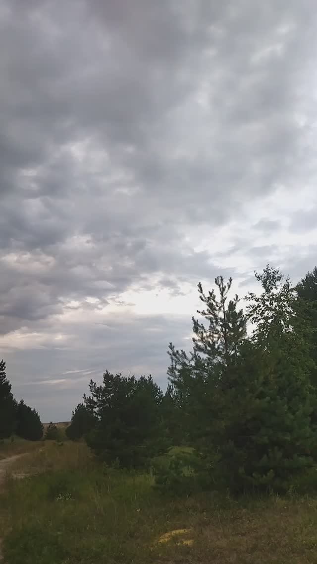 Моя прогулка на природе! Ну и немного о интересном.