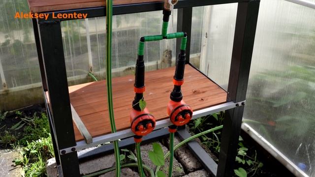 Обзор. Капельный полив "Жук" на две теплицы. Полив в теплице.