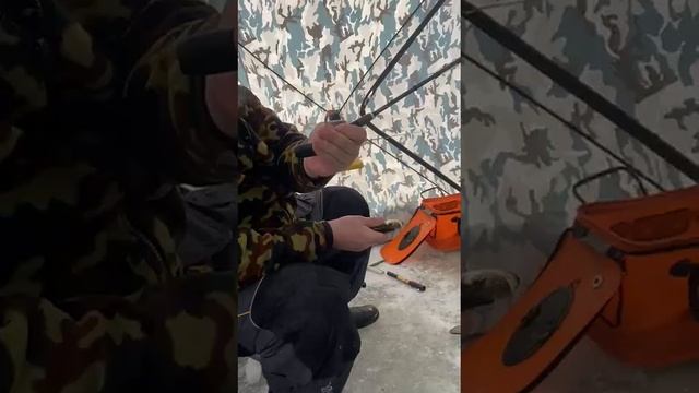 Блесна Джаоре от Mr.Musurok в деле🎣