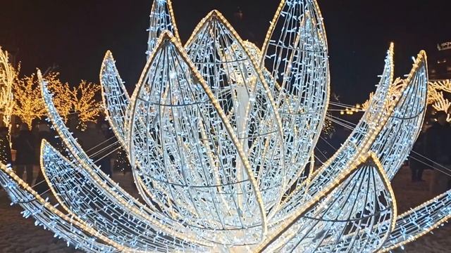 Снежный Лотос на Синем мосту!Петербург!