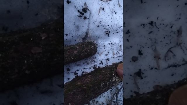 Пила Самурай 540