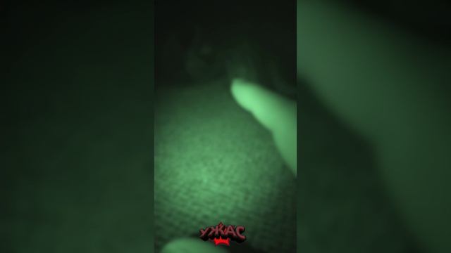 Убегаю от привидения 😱 #спаниель #собака #привидение #дух #скример #призрак #ужас #мистика #монстр