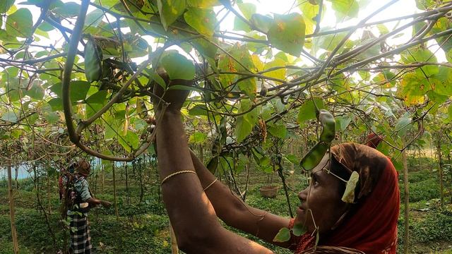 14922883-uhd_3840_2160_24fps