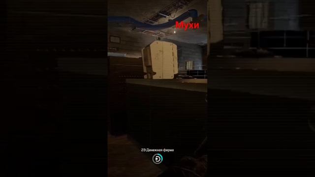 Rainbow six siege- Мухи #игры #приколы #видеоигры #rainbowsix #rainbowsixsiege #радуга6