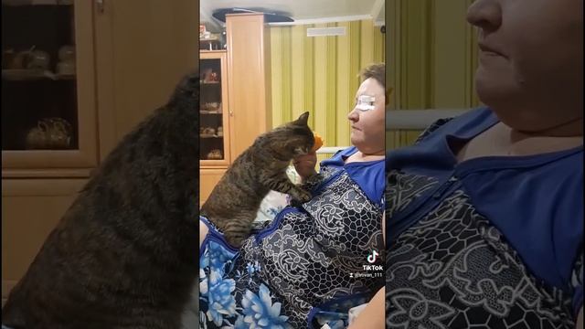 Наши питомцы