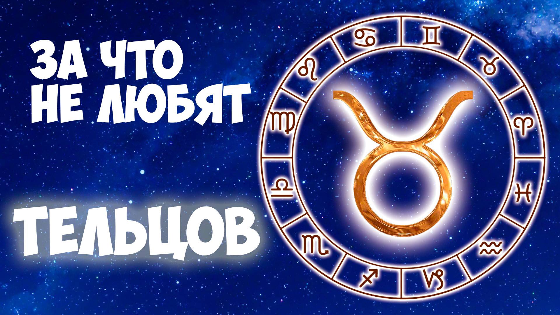 За эти качества люди могут не любить тельцов.