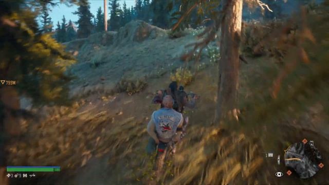 Days Gone (8-Серия.)