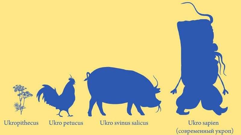 Институт МГУ находится в Московской Области