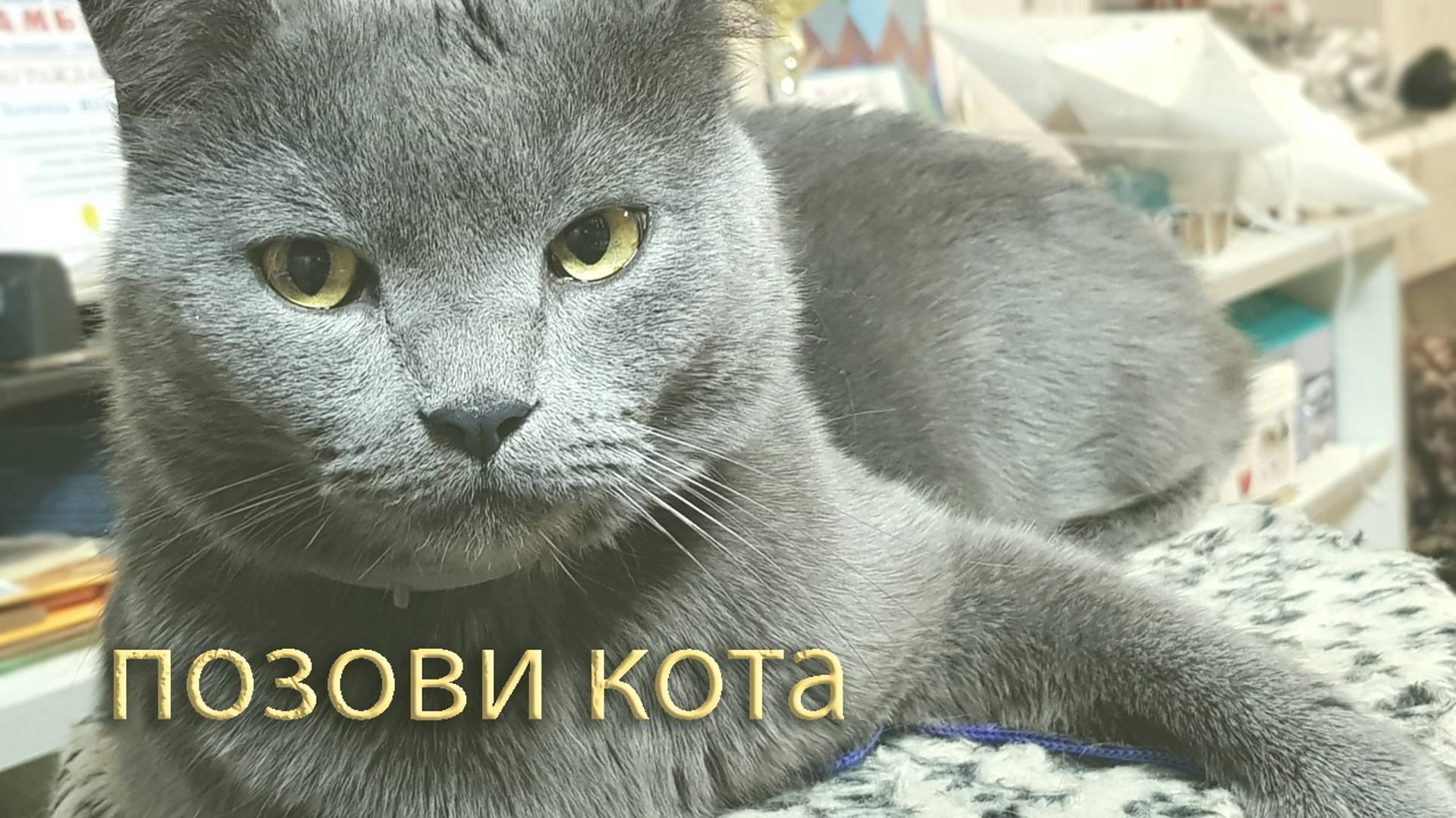 - Он придет сквозь злые ночи!..