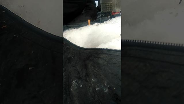 Томь, рыбалка