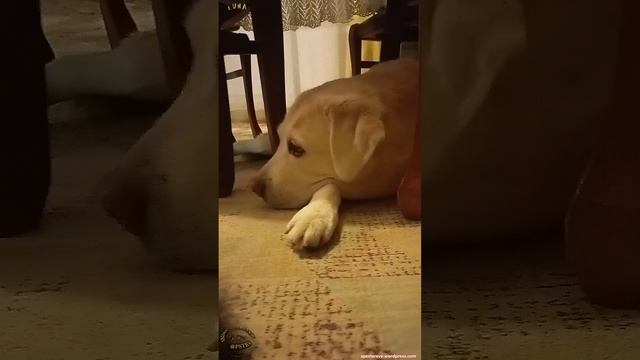 Витаминная подпитка