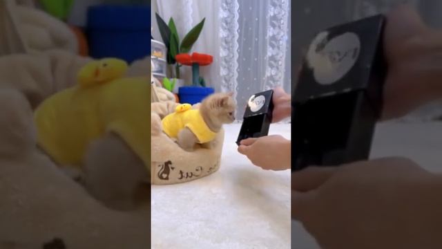 осторожно, вас дурят!