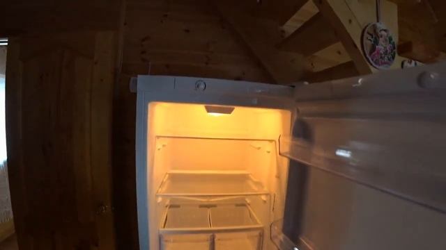 День Рождение папы. Выставка кошек.