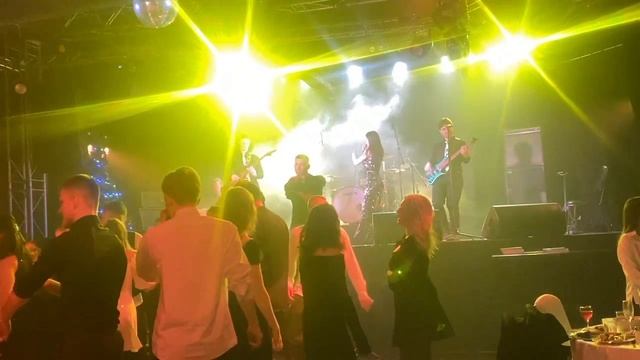 Прованс ~ Ёлка