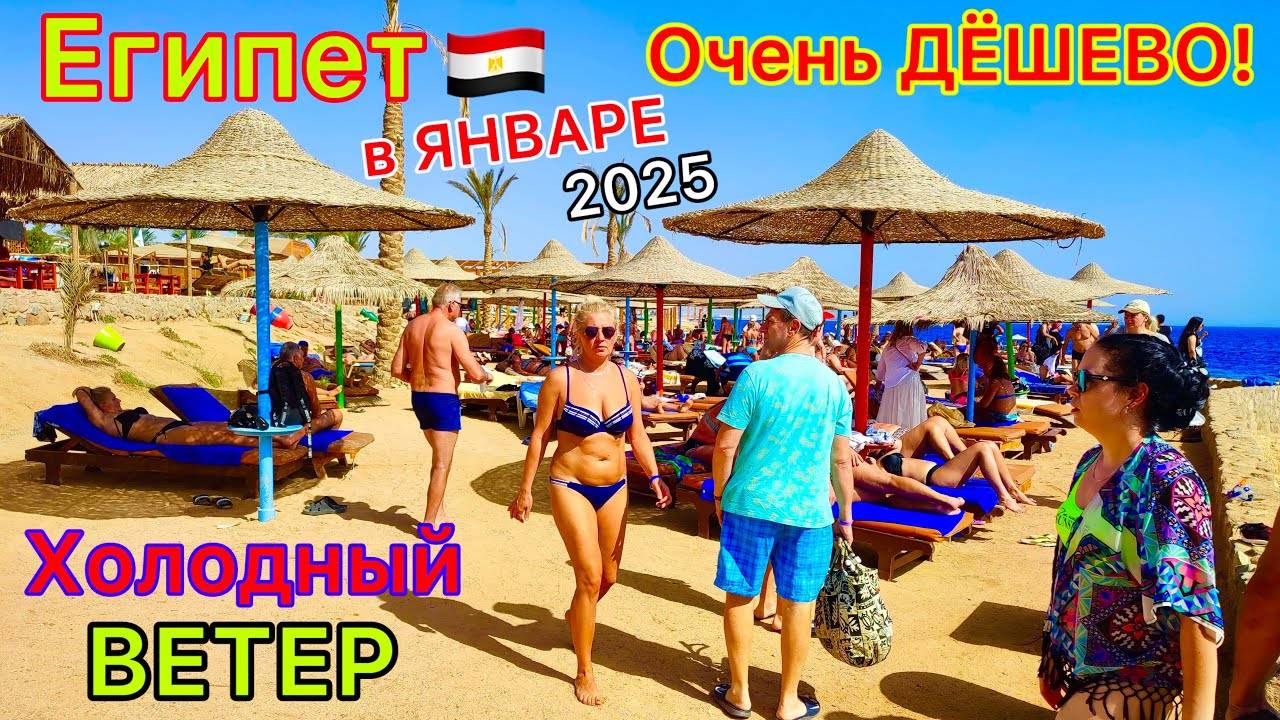 Египет в ЯНВАРЕ 2025. ЦЕНЫ на отдых ПАДАЮТ? ЖАРА и ХОЛОДНЫЙ ВЕТЕР. Стоит ли ЛЕТЕТЬ? Плюсы и минусы